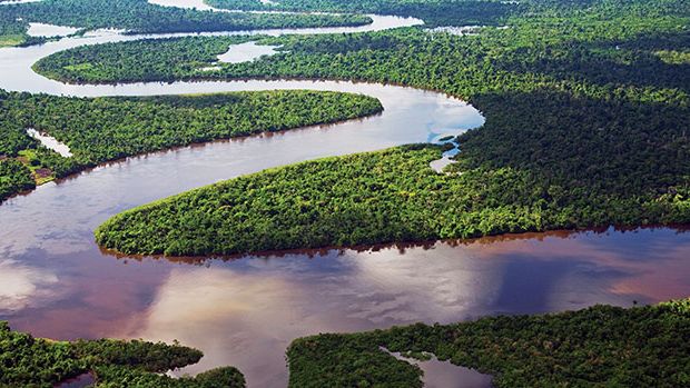 10 Zaujímavostí o Amazonskom Dažďovom Pralese a prečo ho musíme chrániť