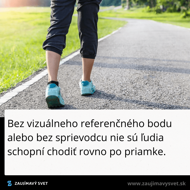 Zopár zaujímavosti ku káve, ktoré ti zaručene rozšíria obzory #736 ...