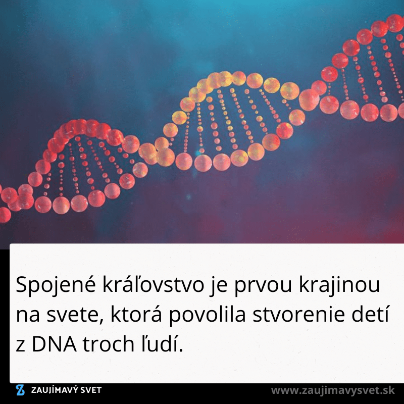 Zopár zaujímavosti ku káve, ktoré ti zaručene rozšíria obzory #1232 ...