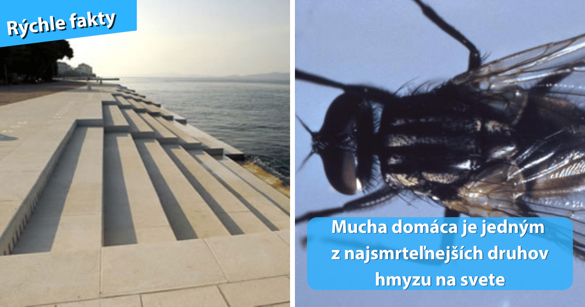 Zaujímavosti ku káve, ktoré ti zaručene rozšíria obzory #1376 ...