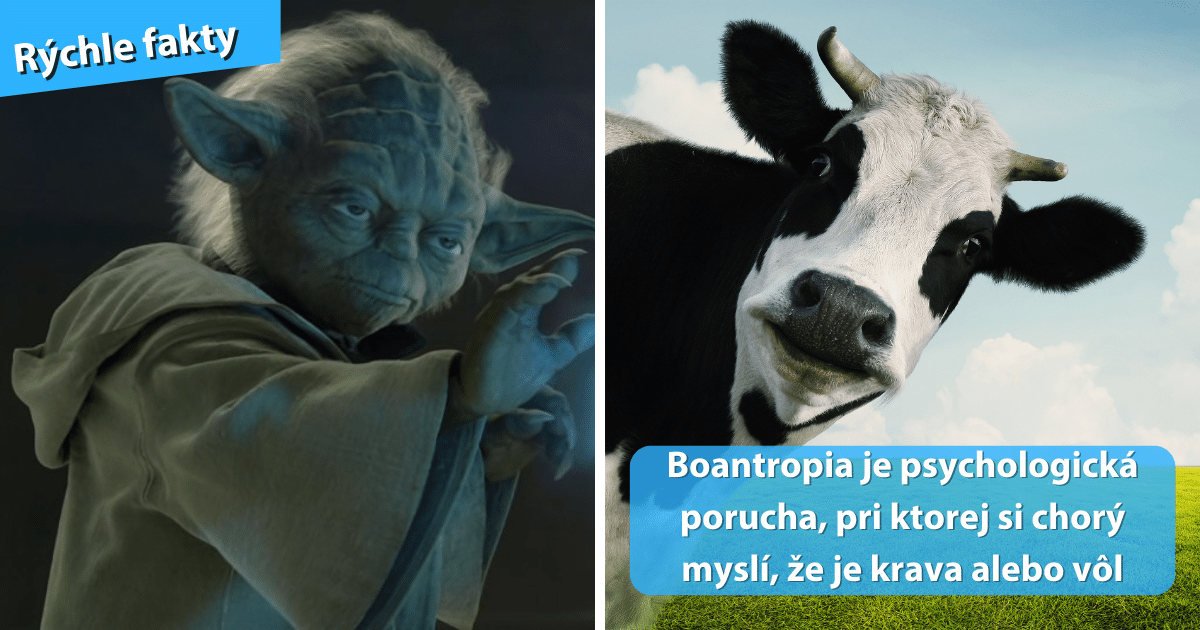 Zaujímavosti ku káve, ktoré ti zaručene rozšíria obzory #1390 ...