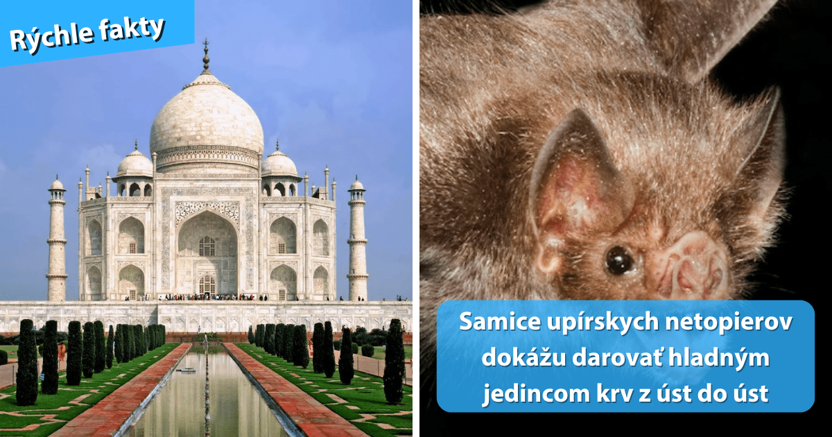 Zaujímavosti ku káve, ktoré ti zaručene rozšíria obzory #1431 ...