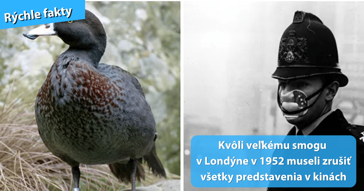Zaujímavosti ku káve, ktoré ti zaručene rozšíria obzory #1467 - v roku ...
