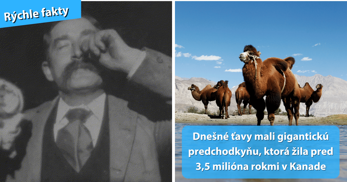 Zaujímavosti ku káve, ktoré ti zaručene rozšíria obzory #1515 - Thomas ...