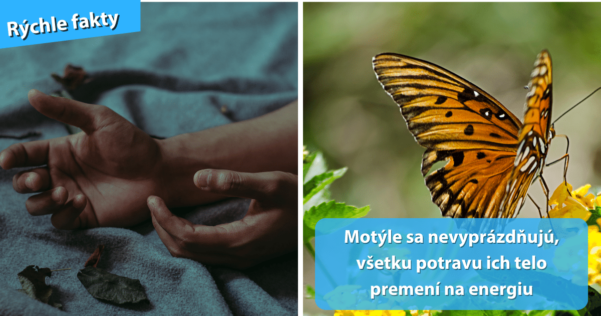 Zaujímavosti ku káve, ktoré ti zaručene rozšíria obzory #1525 - človek ...