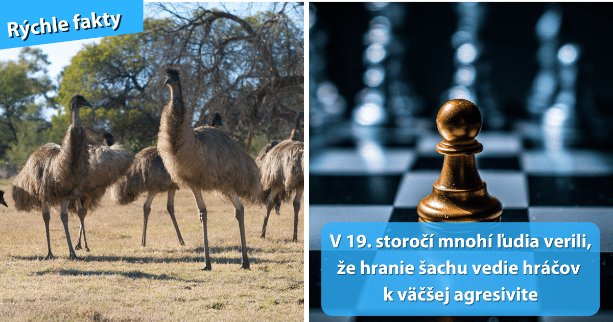 Zaujímavosti ku káve, ktoré ti zaručene rozšíria obzory #1540 - v roku 1932 sa v Západnej ...