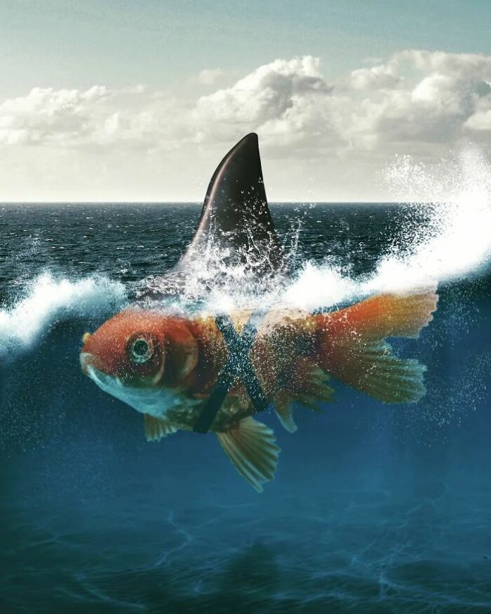 Umelkyňa vytvorila za pomoci bežných fotografií surrealistické obrázky ...