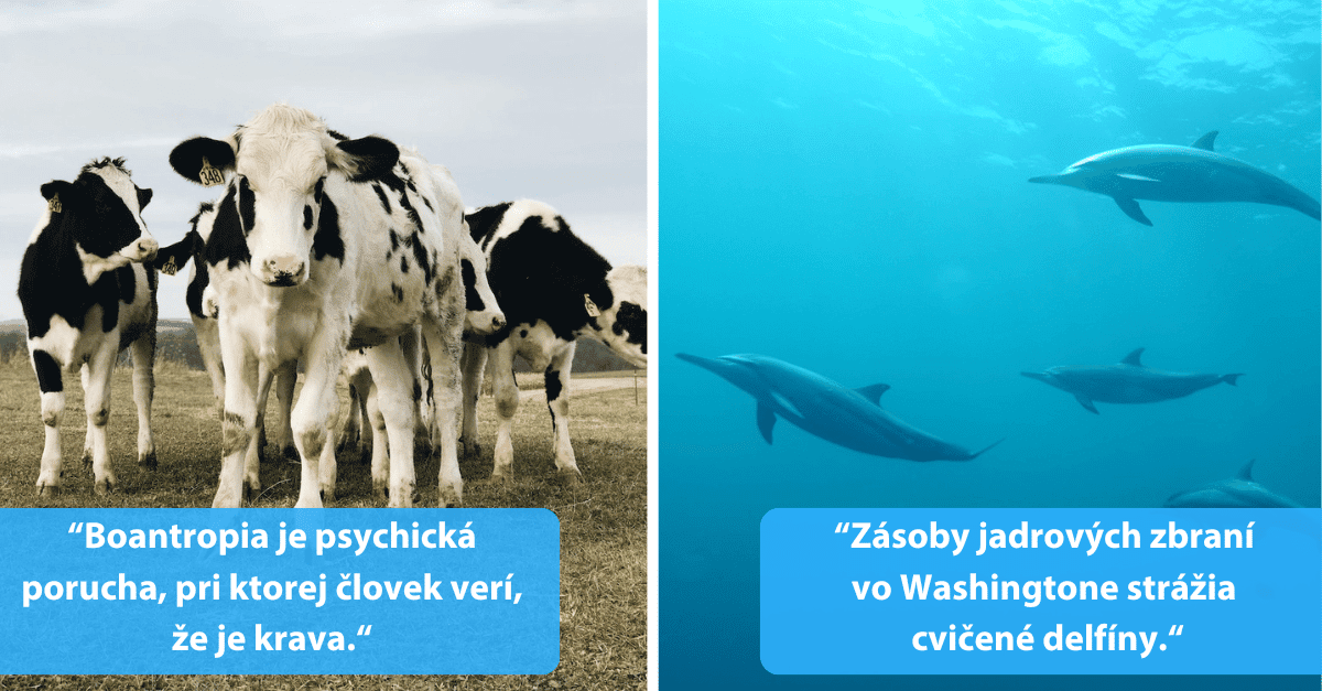 12 zaujímavých faktov pre efektívne naštartovanie týždňa