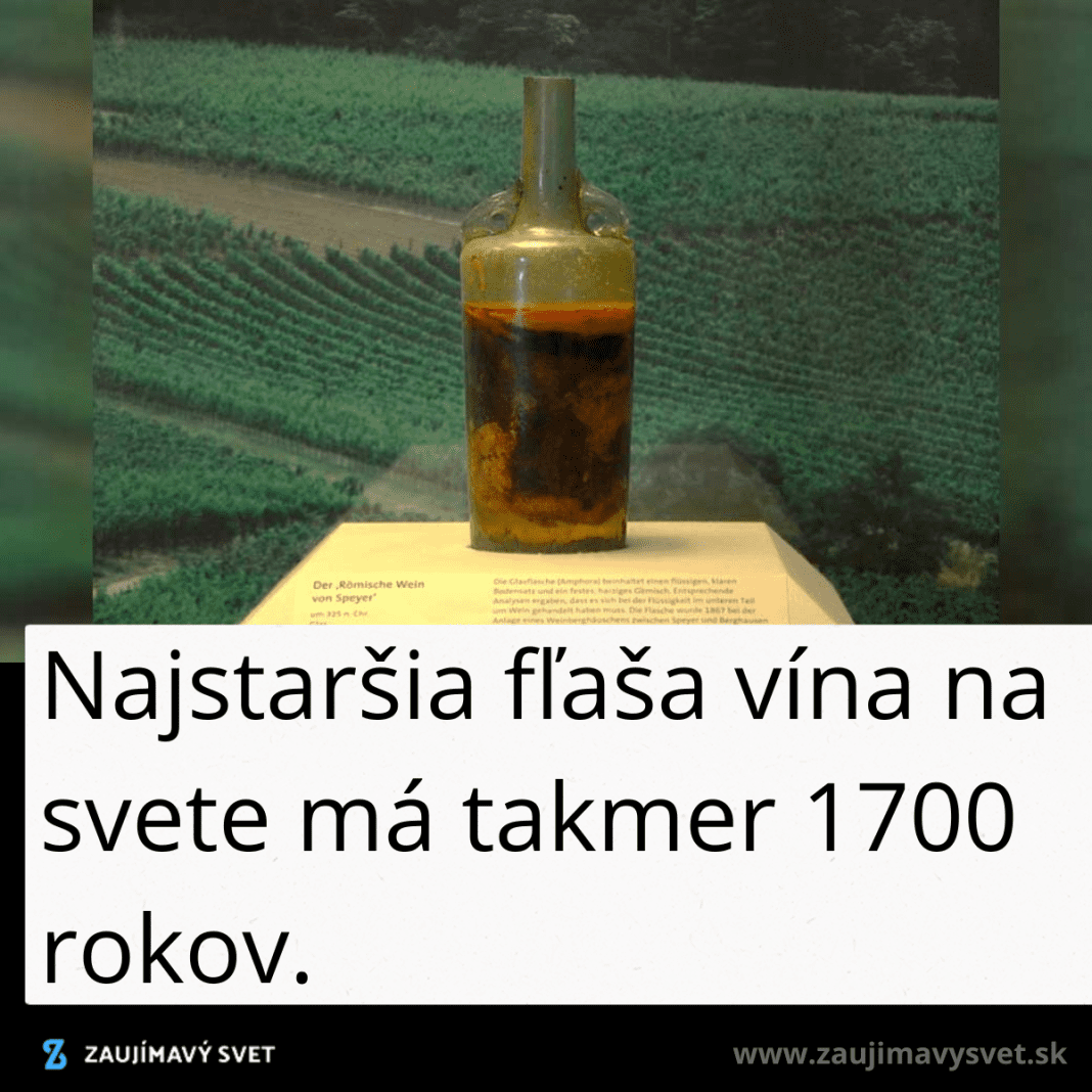 Zaujímavosti ku káve, ktoré ti zaručene rozšíria obzory #1720 ...