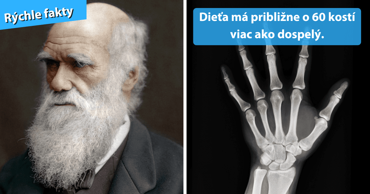 Zaujímavosti ku káve, ktoré ti zaručene rozšíria obzory #1703 - medveď ...