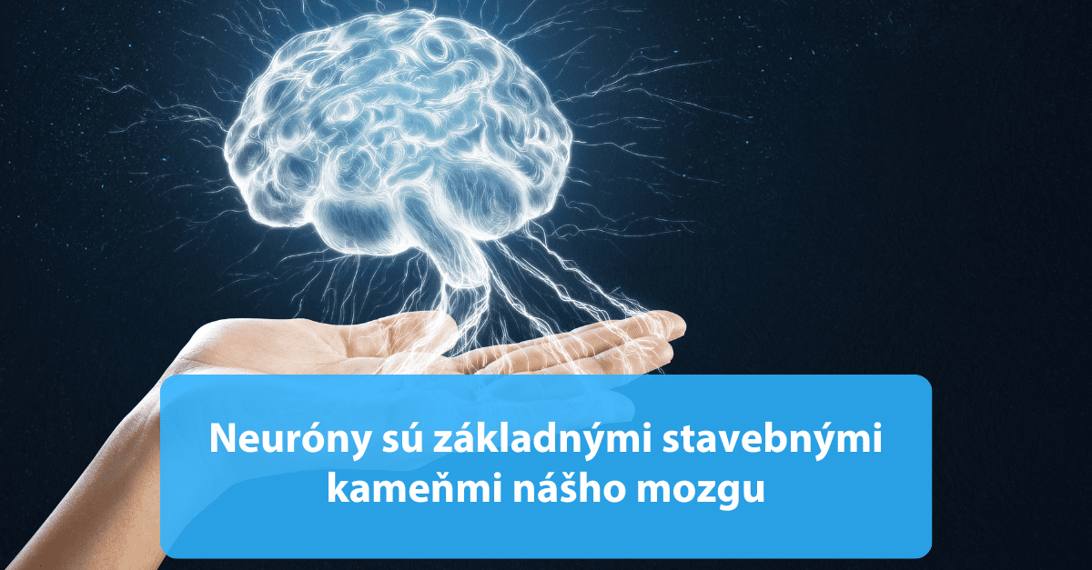 Tajomstvo neurónov: Ako náš mozog vytvára myšlienky