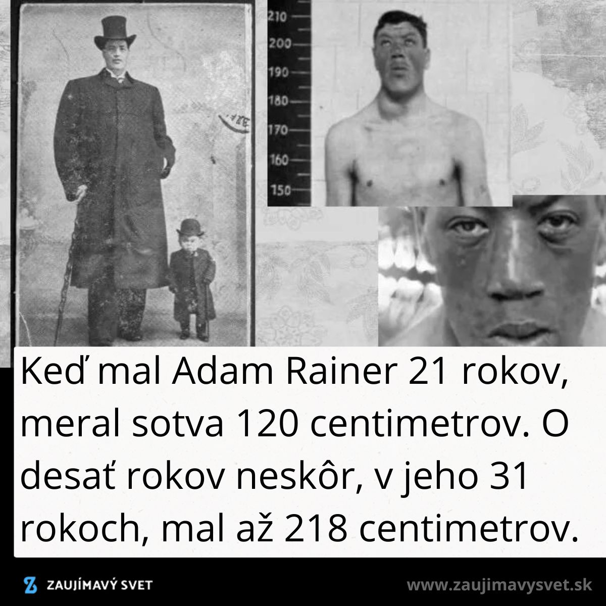 Zaujímavosti ku káve, ktoré ti zaručene rozšíria obzory #1735 - Adam ...