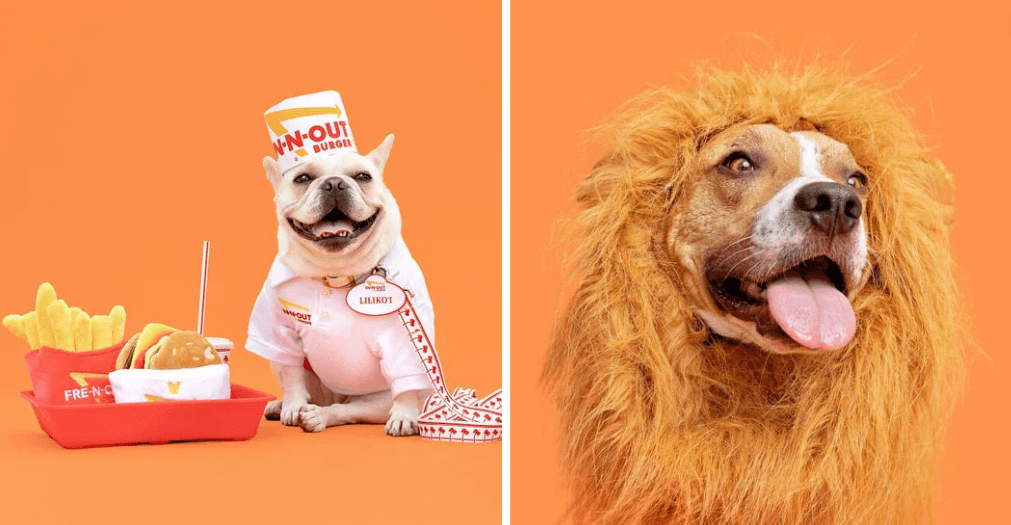 Fotografka z Los Angeles vytvorila zaujímavú sériu fotografií. Pózujú ...