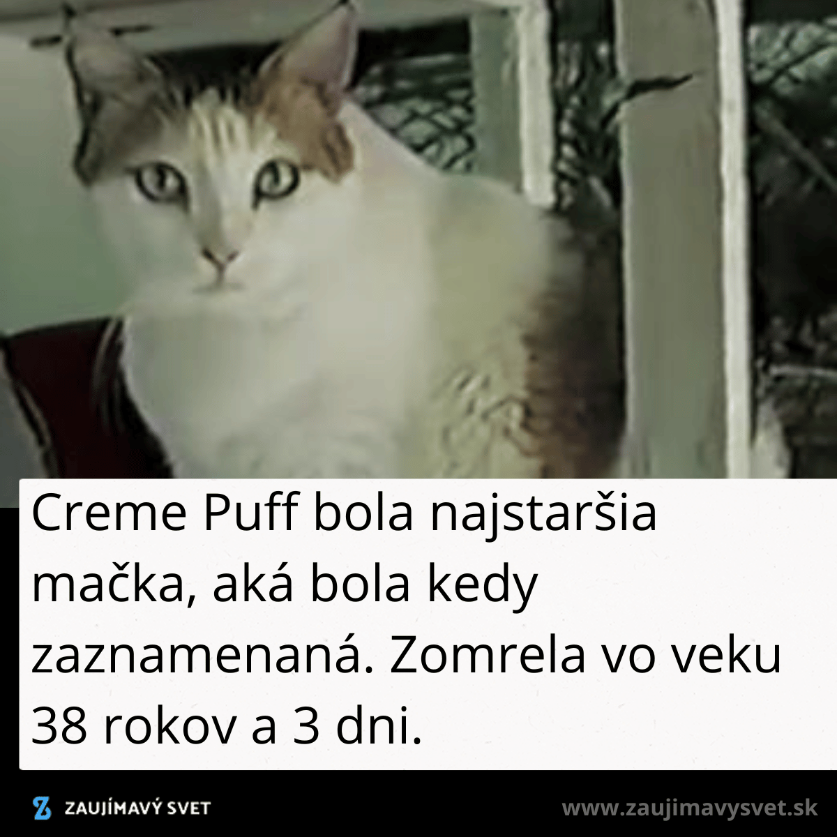 Zaujímavosti ku káve, ktoré ti zaručene rozšíria obzory #1749 - Mona ...