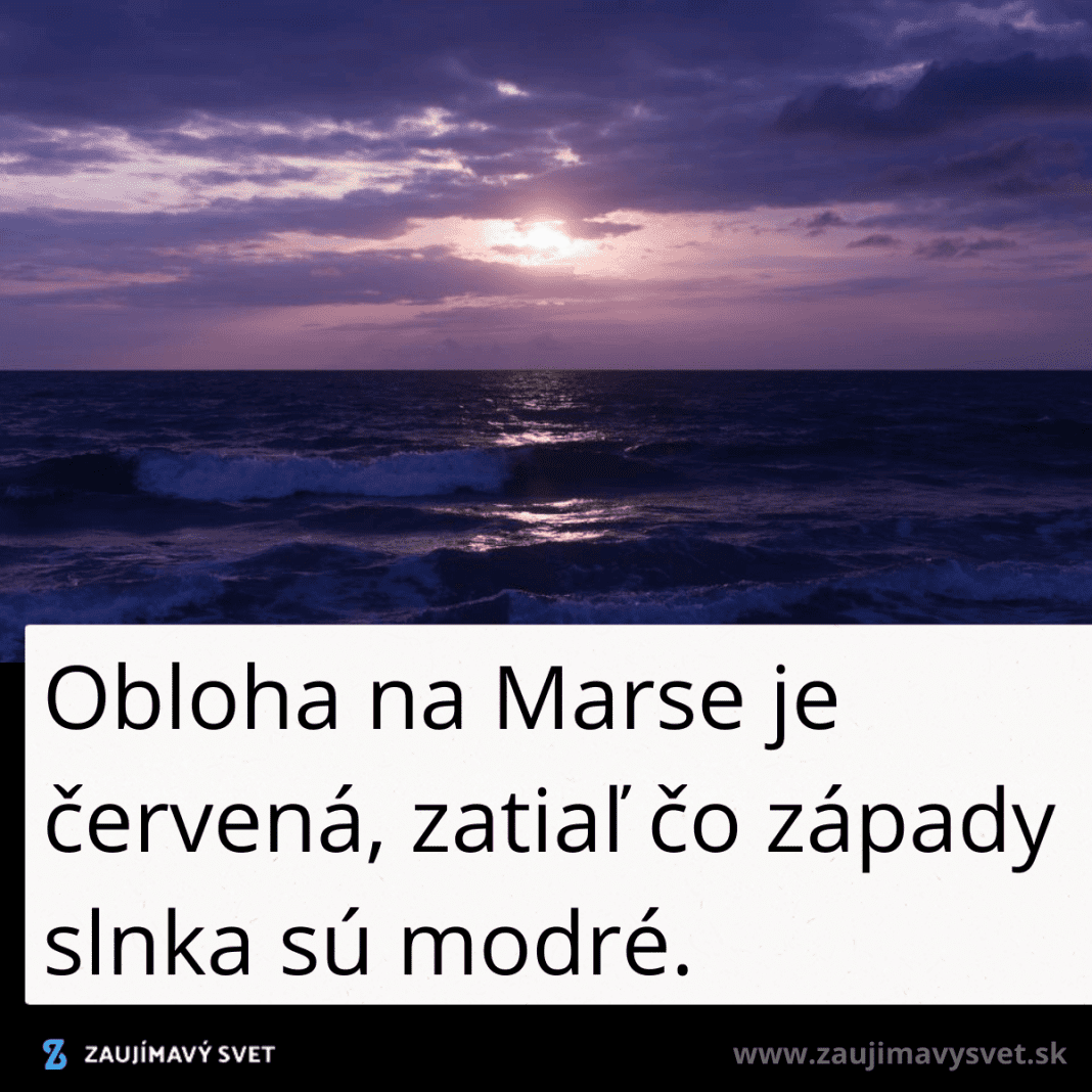 Zaujímavosti ku káve, ktoré ti zaručene rozšíria obzory #1771 - aká je ...
