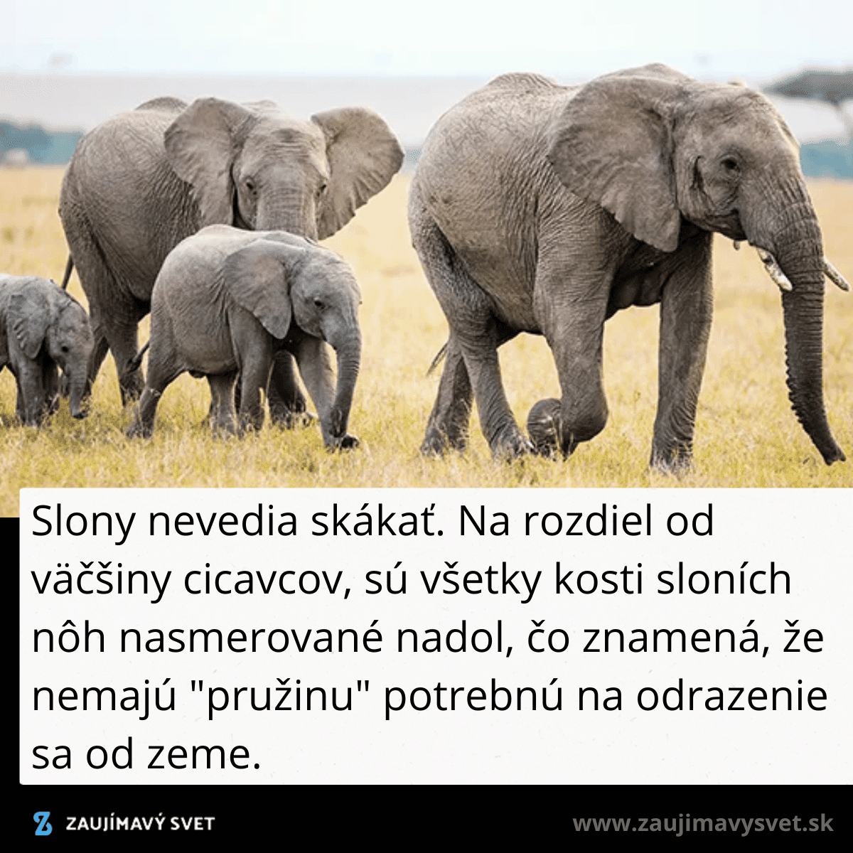 Zaujímavosti ku káve, ktoré ti zaručene rozšíria obzory #1748 - čo spôsobuje druhú dúhu a o čom ...