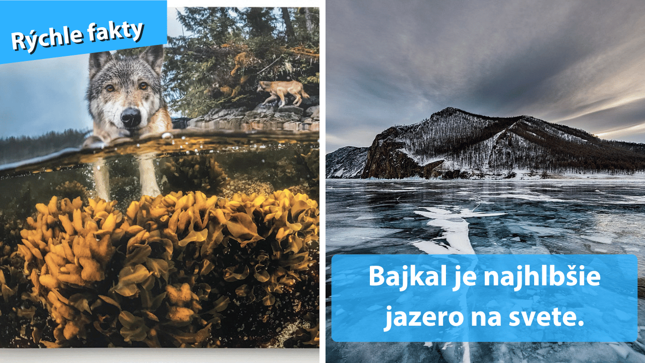 Zaujímavosti ku káve, ktoré ti zaručene rozšíria obzory #1784 - čo je ...