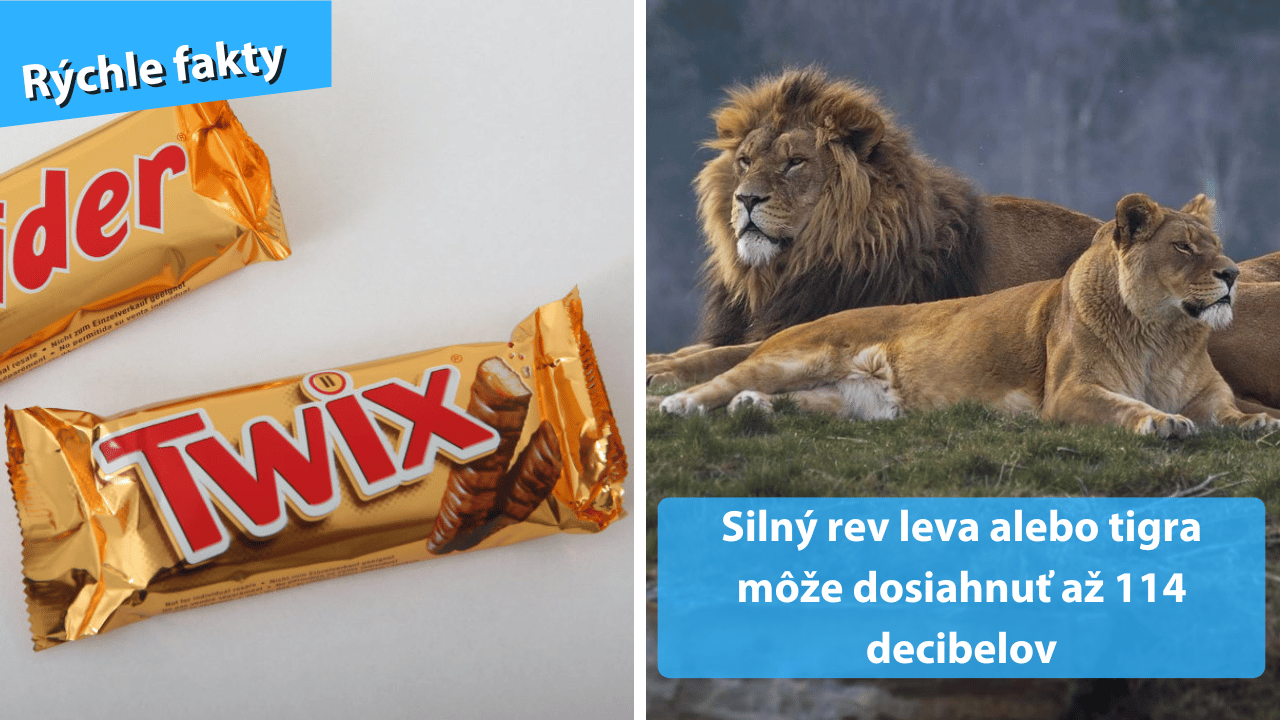 Zaujímavosti ku káve, ktoré ti zaručene rozšíria obzory #1791 - krvavé ...