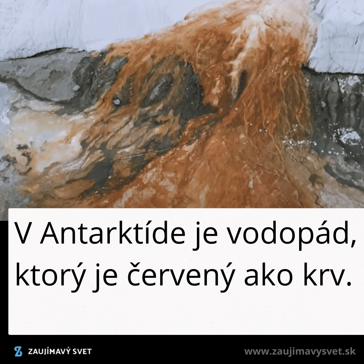 Zaujímavosti ku káve, ktoré ti zaručene rozšíria obzory #1791 - krvavé ...