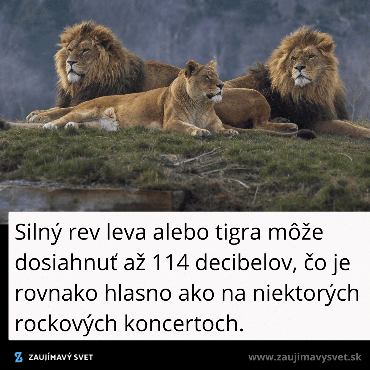 Zaujímavosti ku káve, ktoré ti zaručene rozšíria obzory #1791 - krvavé ...