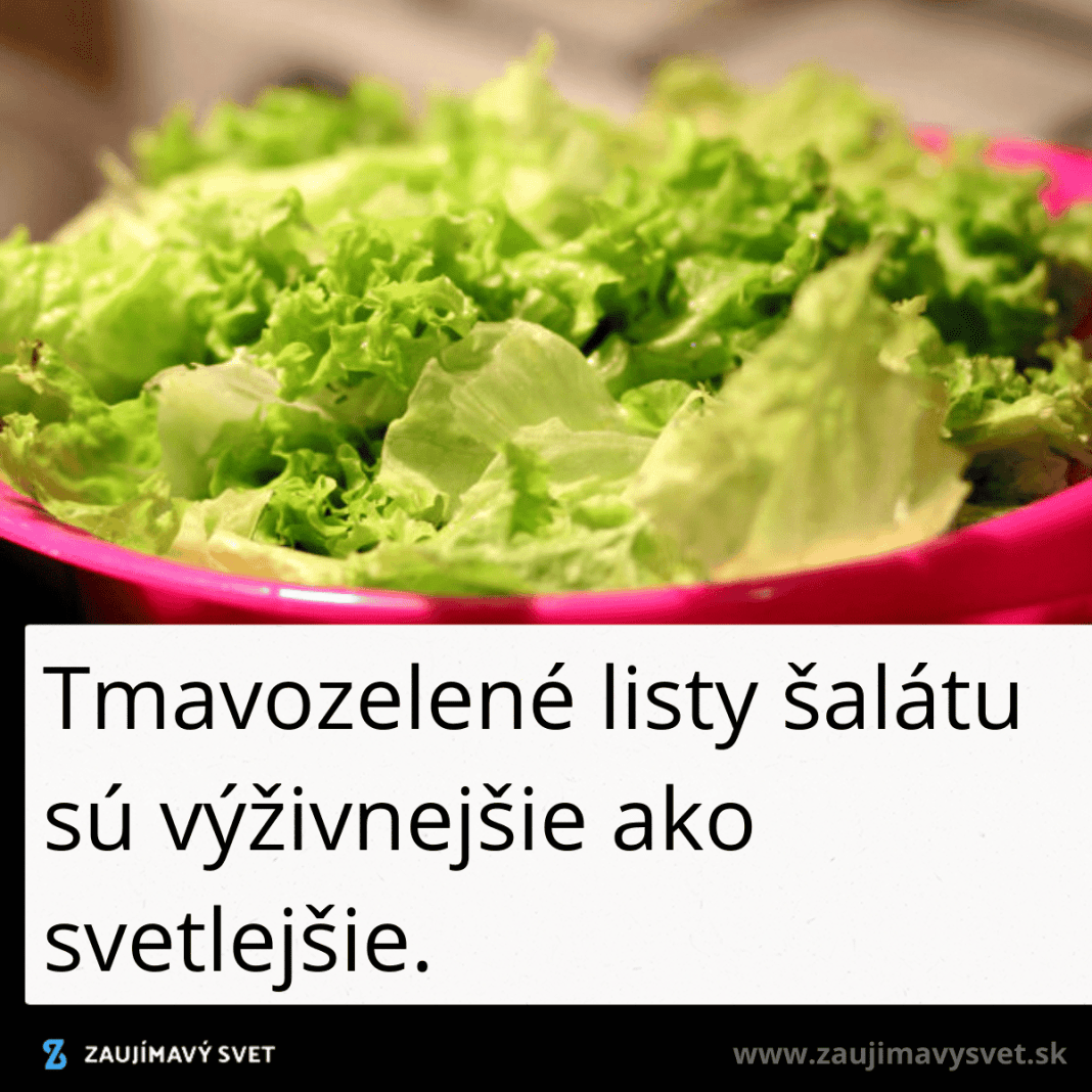 Zaujímavosti ku káve, ktoré ti zaručene rozšíria obzory #1784 - čo je ...