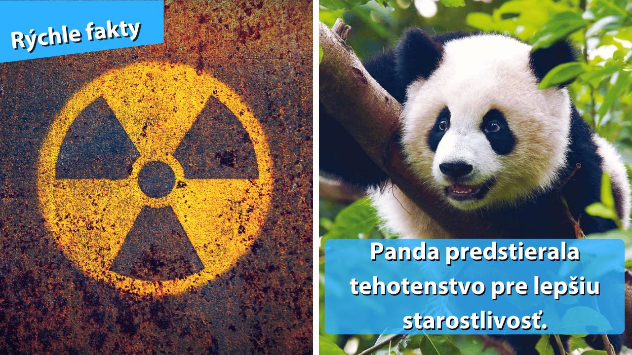 Zaujímavosti ku káve, ktoré ti zaručene rozšíria obzory #1830 - rozvody ...