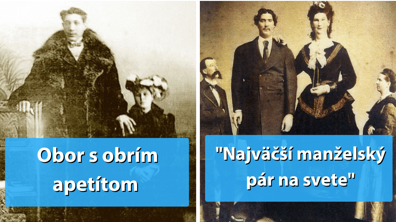 Pozoruhodné príbehy skutočných obrov: Fiodor Machnov, Adam Rainer, Anna ...