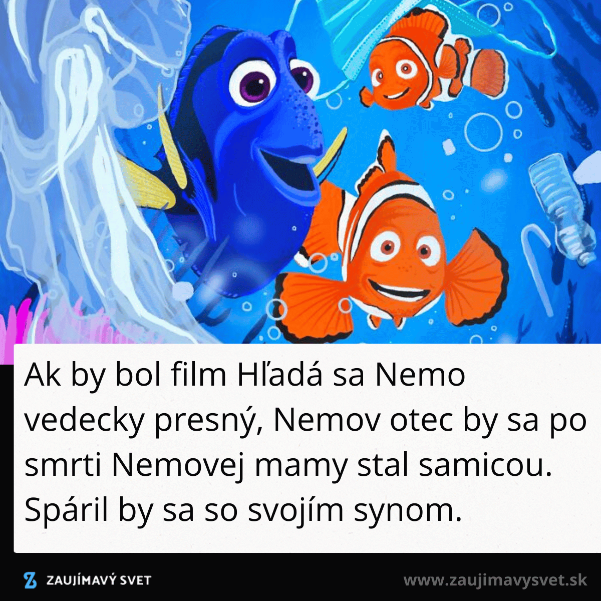 Náhodné zaujímavosti: držiteľom akého svetového rekordu je Dwayne ...