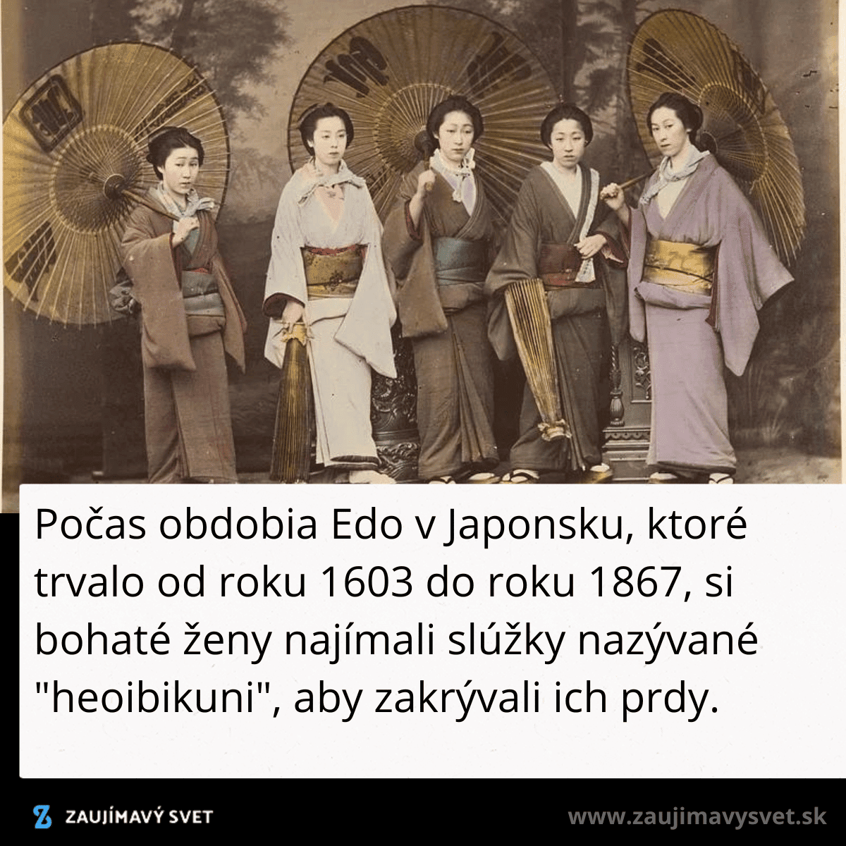 Náhodné zaujímavosti: slúžky, ktoré zakrývali prdy a prečo sa kukurica ...