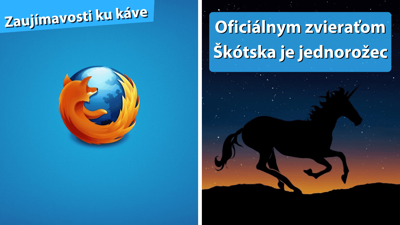 Náhodné zaujímavosti: ktoré zviera má najlepšiu pamäť a aké je ...