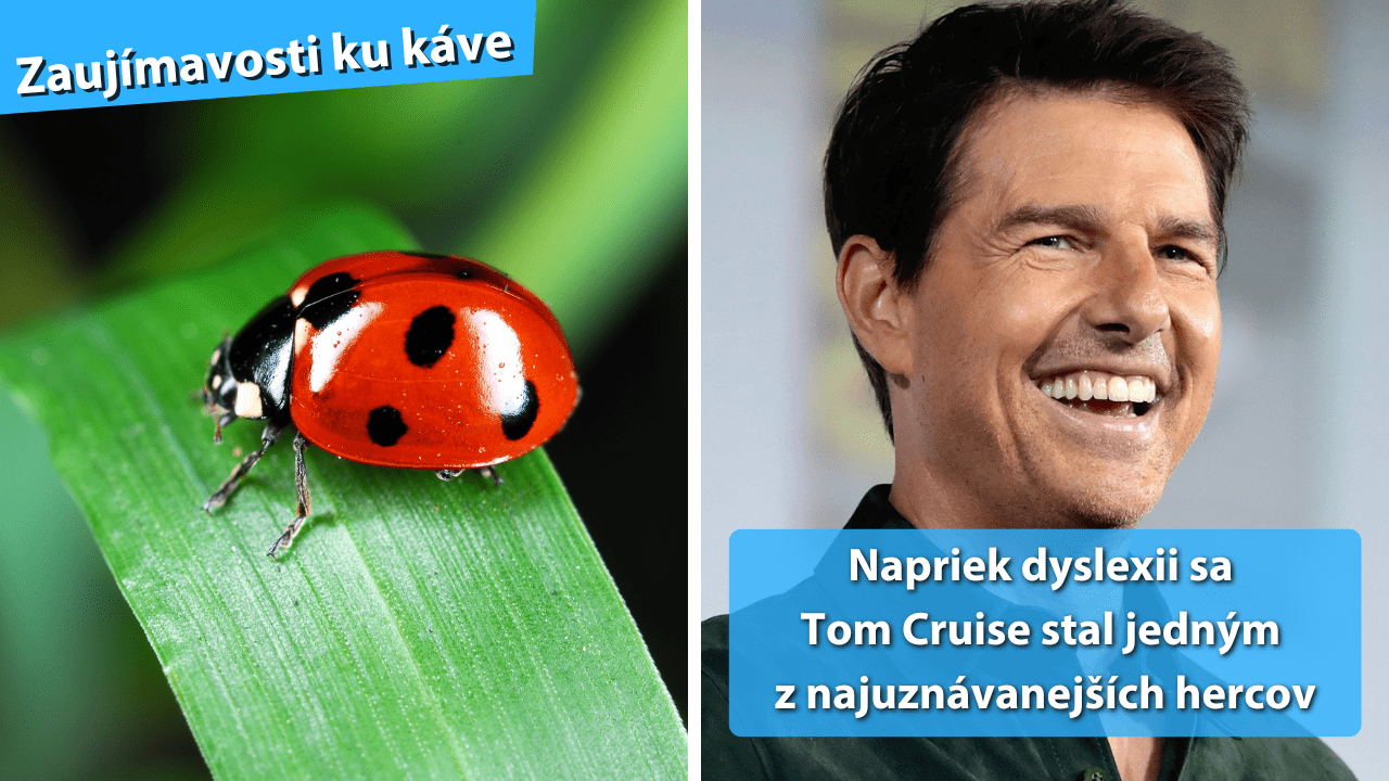 Zaujímavosti ku káve, ktoré ti rozšíria obzory #1893 – prečo majú ...