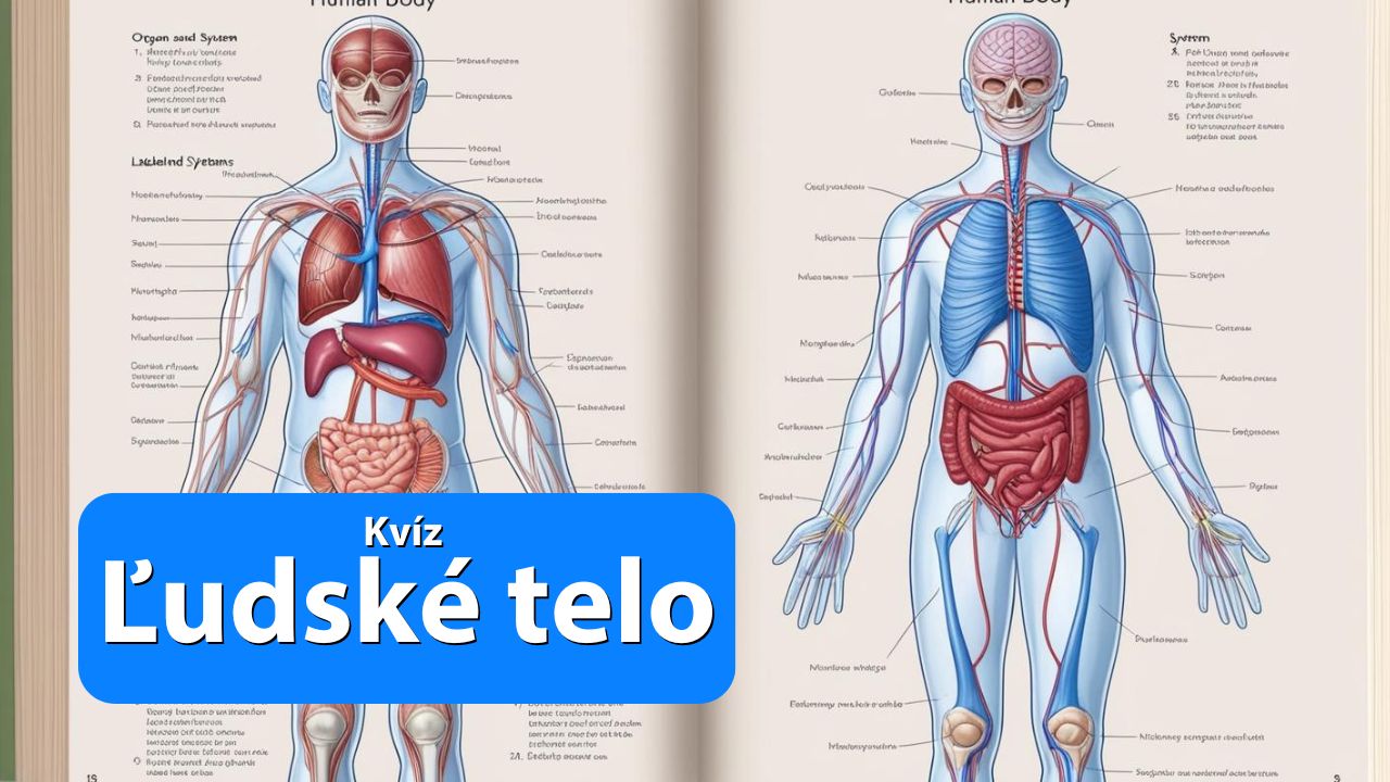 10 otázok o ľudskom tele. Ako dobre poznáte jeho fungovanie?