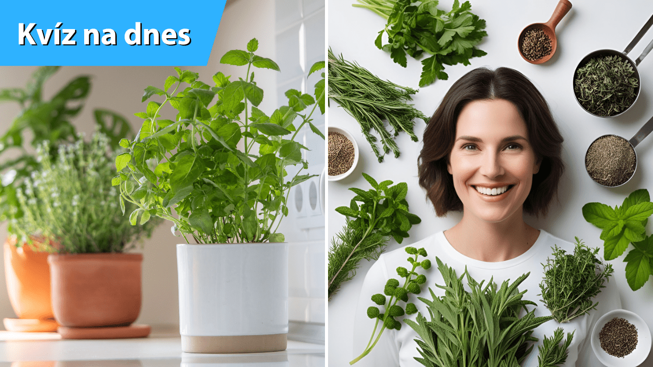 Jarný bylinkový kvíz: Spoznáte liečivé a kuchynské bylinky podľa fotky?