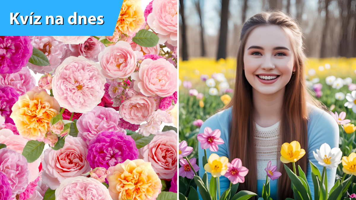 Jarný kvetinový kvíz: Spoznáte kvety podľa fotografie?