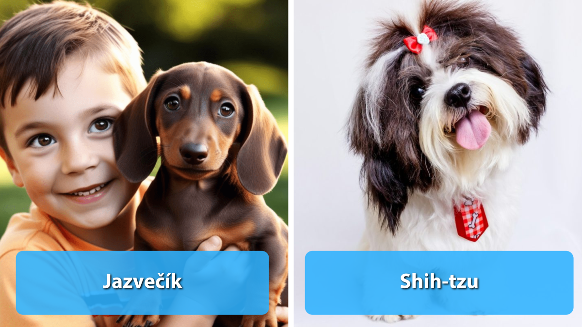 Dĺžka života štvornohých spoločníkov. Ktoré plemená psov zostanú po ...