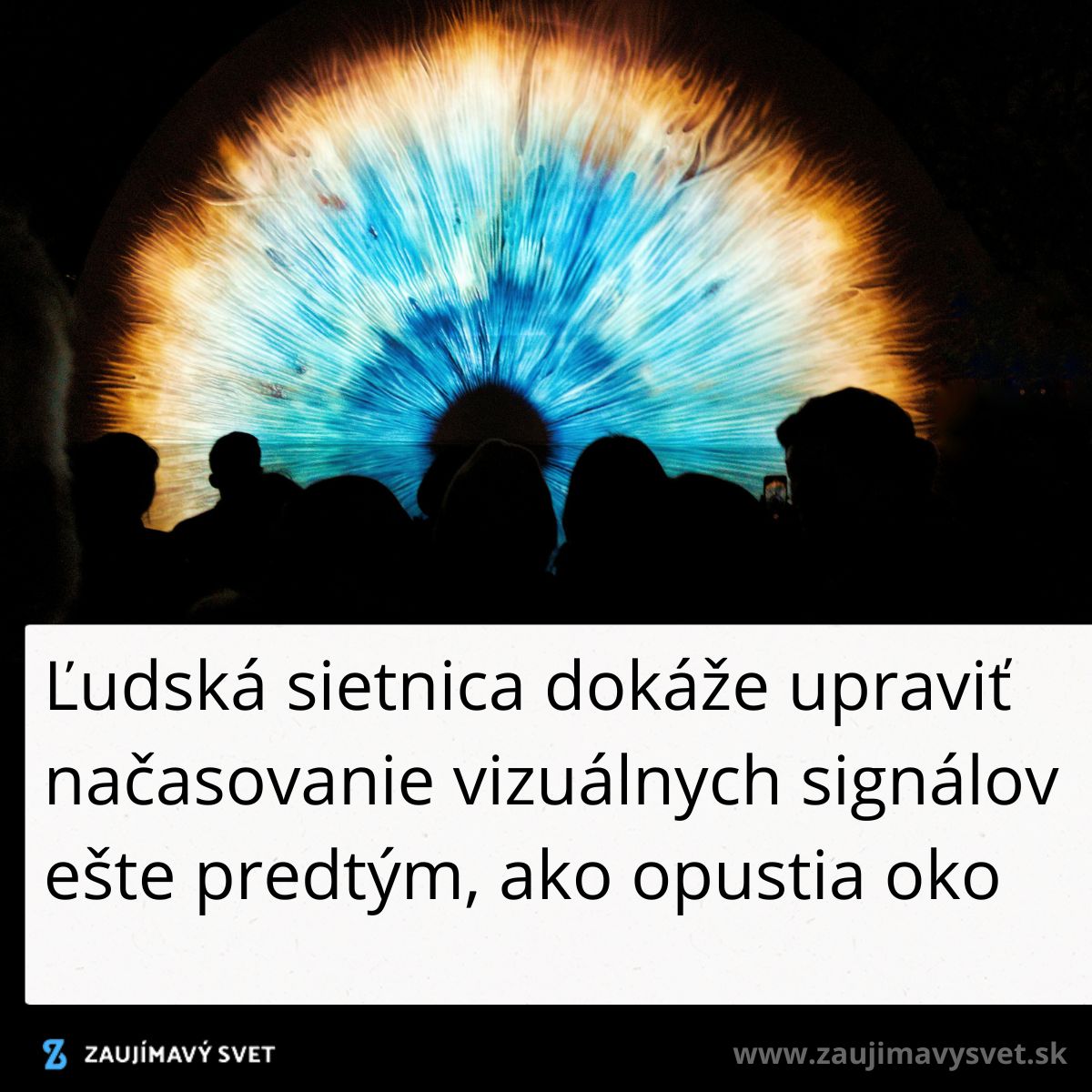 5 pozitívnych správ pre dušu, ktoré ti vrátia vieru v ľudstvo #14 ...