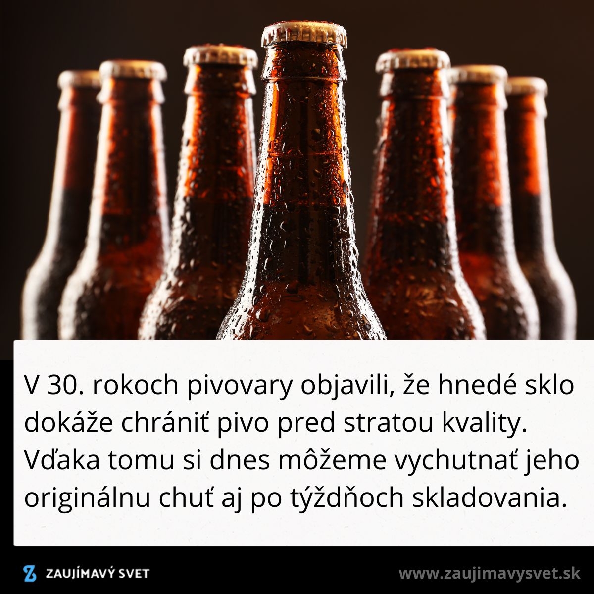 Zaujímavosti ku káve, ktoré ti rozšíria obzory #2191 – ako Rami Malek zaplatil za svoju prvú ...