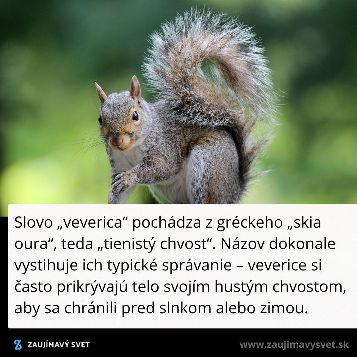 Zaujímavosti ku káve, ktoré ti rozšíria obzory #2204 – prečo má ...