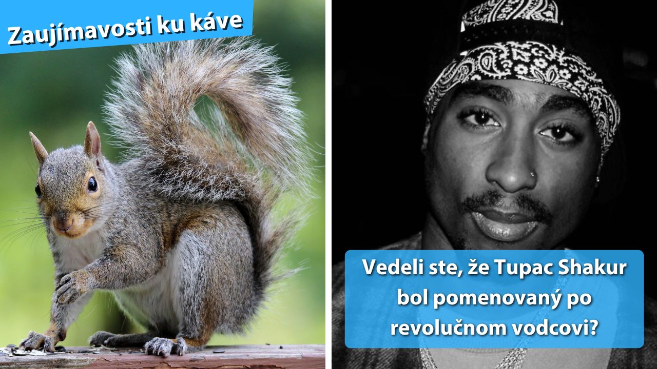 Zaujímavosti ku káve, ktoré ti rozšíria obzory #2204 – prečo má ...