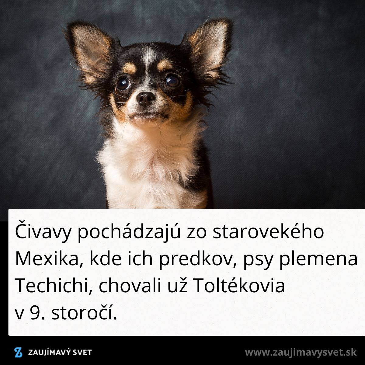 Zaujímavosti ku káve, ktoré ti rozšíria obzory #2254 – starobylý pôvod ...