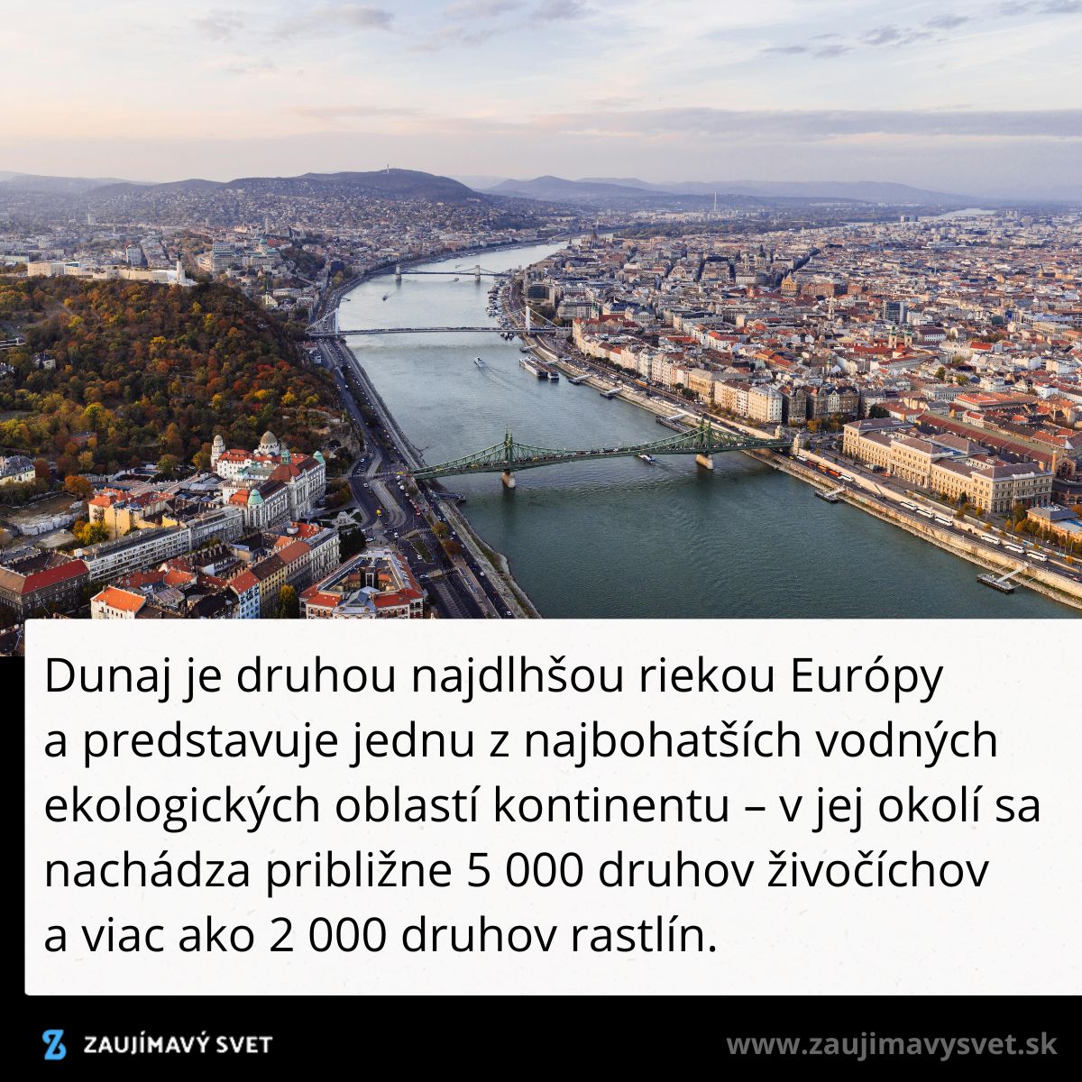 Zaujímavosti ku káve, ktoré ti rozšíria obzory #2254 – starobylý pôvod ...