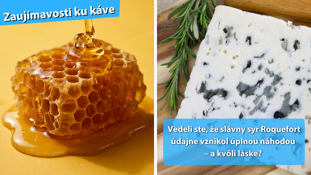 Zaujímavosti ku káve, ktoré ti rozšíria obzory #2327 – prečo je medový ...